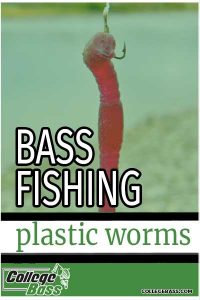 Best Plastic Worms for Bass Fishing [2021] | College Bass